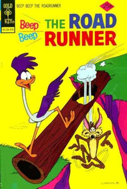 Road Runner Coyote Cliff
